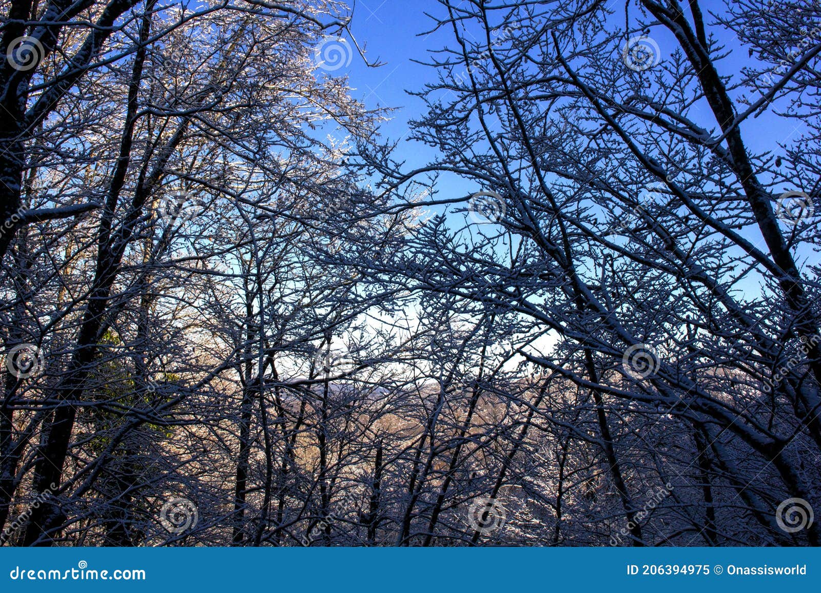 Heavy Snow Forest Mountains Scene Stock Image - Image of heavy, snow ...