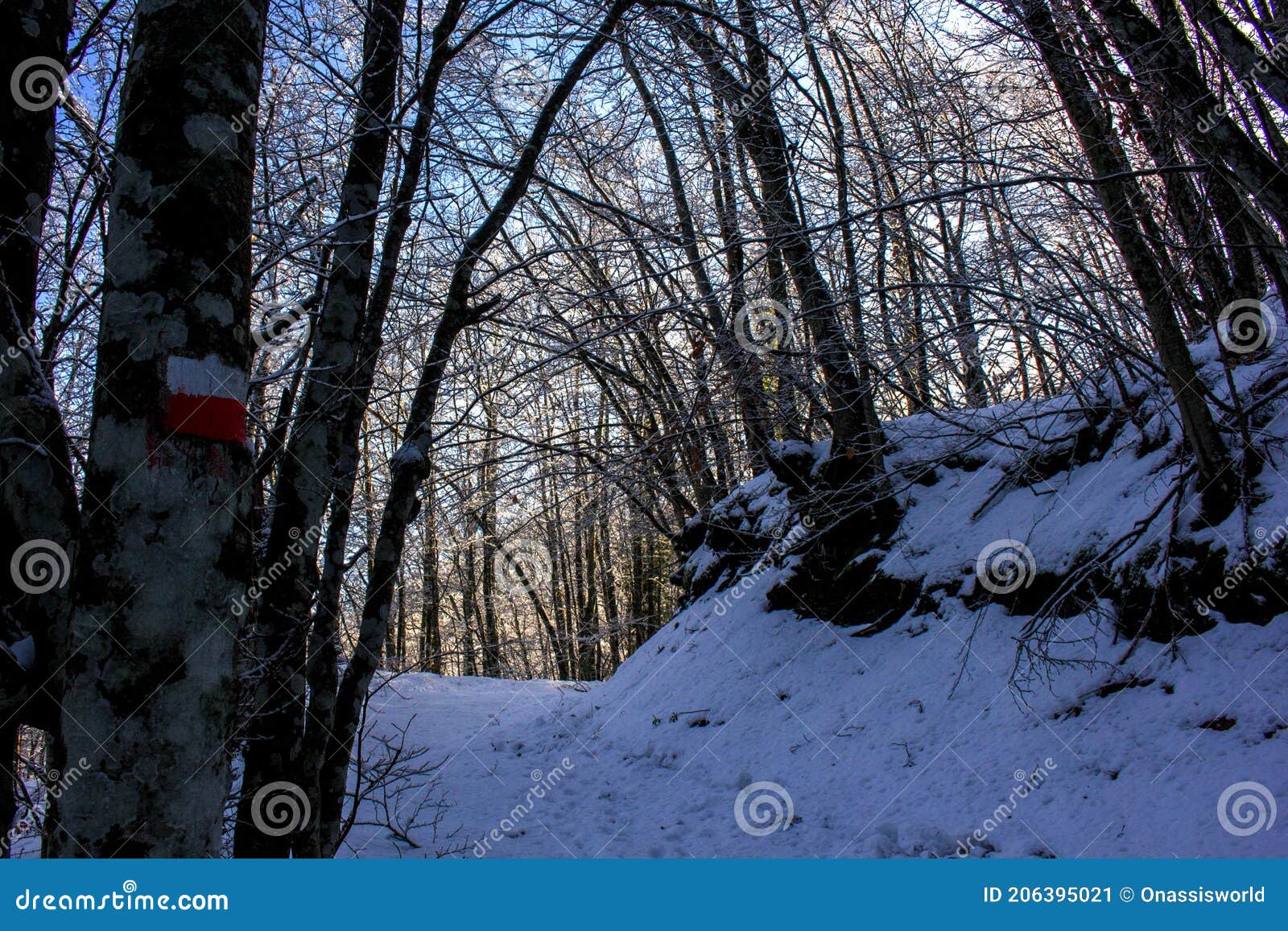 Heavy Snow Forest Mountains Scene Stock Image - Image of scene ...