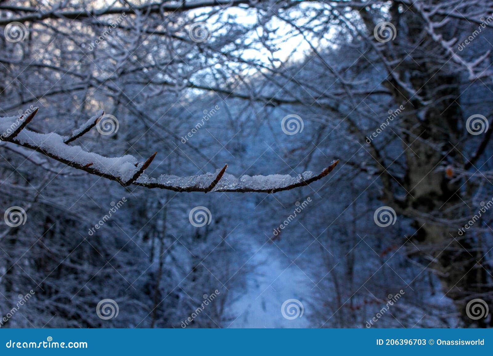 Heavy Snow Forest Mountains Scene Stock Image - Image of mountains ...