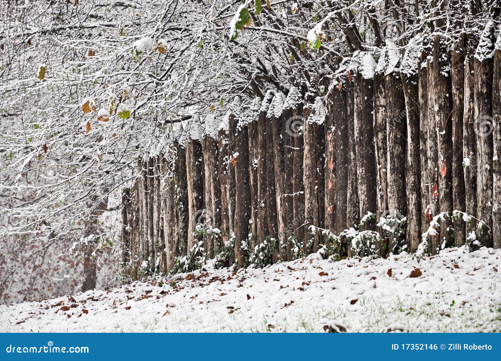 Heavy snowfall stock photo. Image of snowfall, snow, snowscape - 17352146