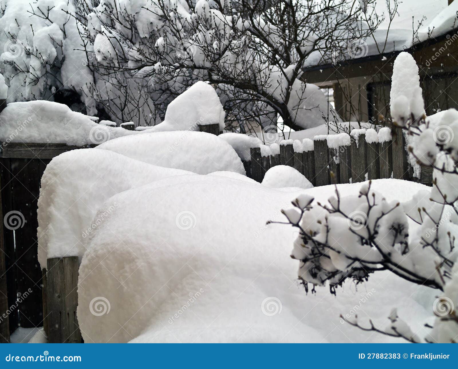 A Heavy Snowfall stock image. Image of january, frost - 27882383