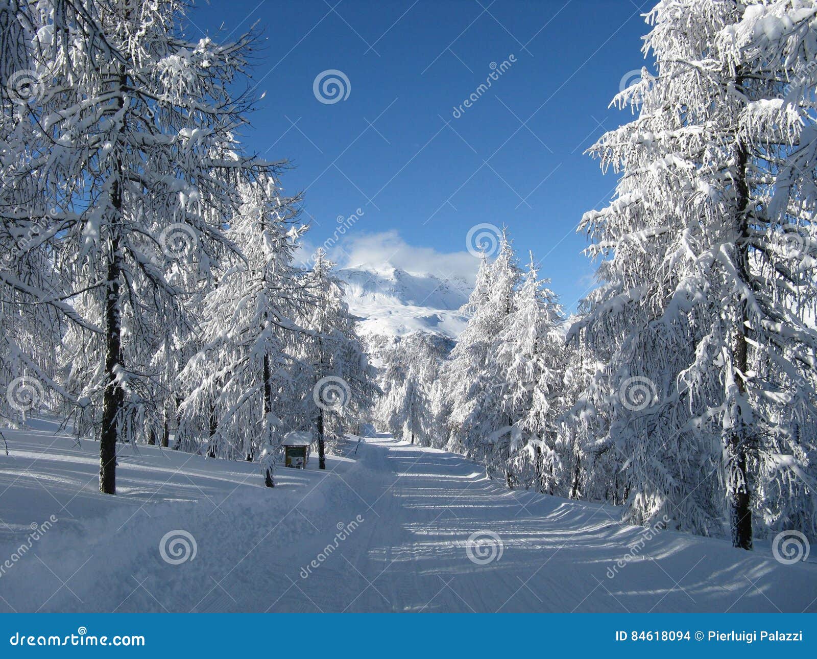 Heavy snowfall stock photo. Image of safety, snowy, snow - 84618094