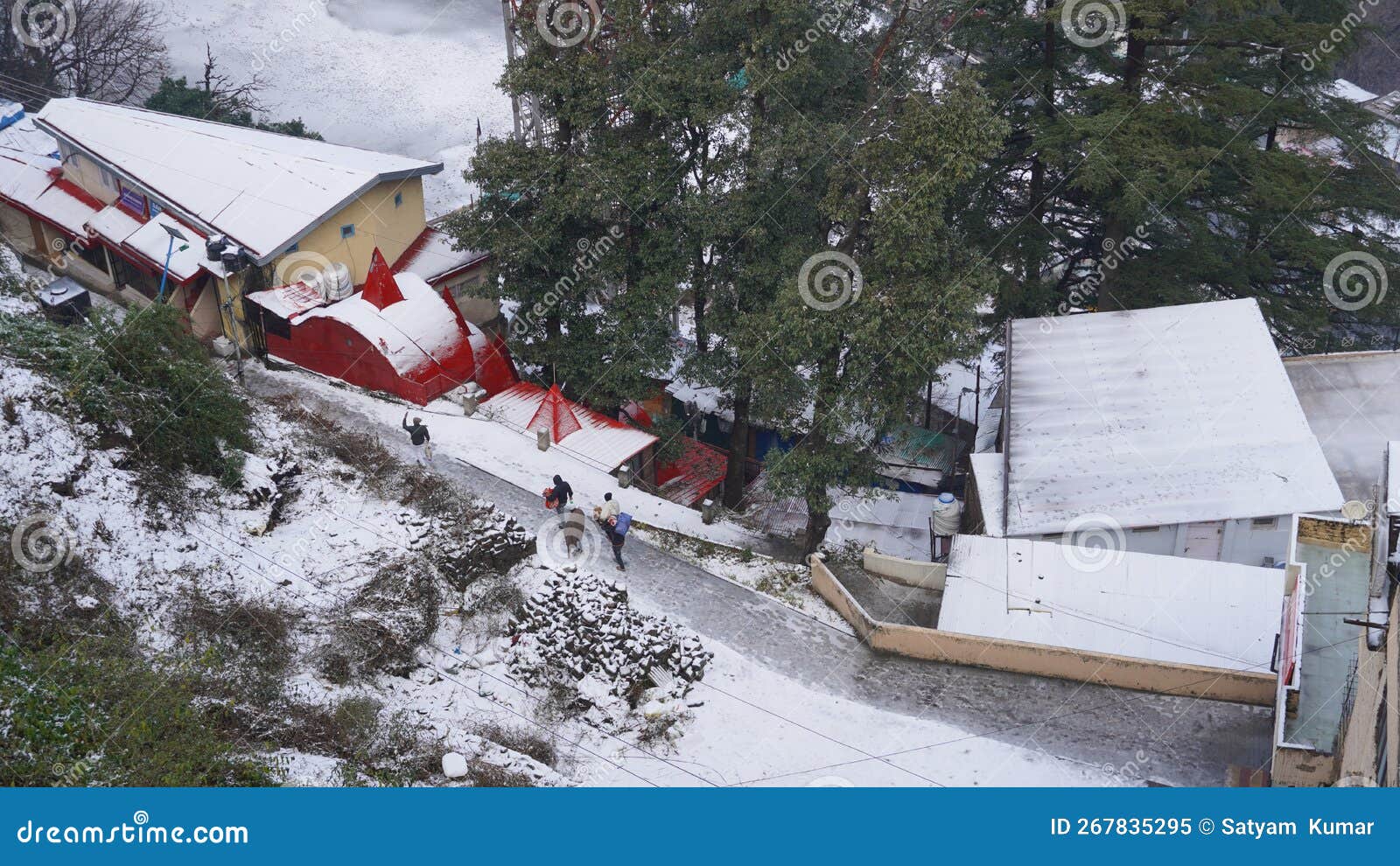Heavy Snowfall in Himachal Pradesh Stock Image - Image of countryside ...
