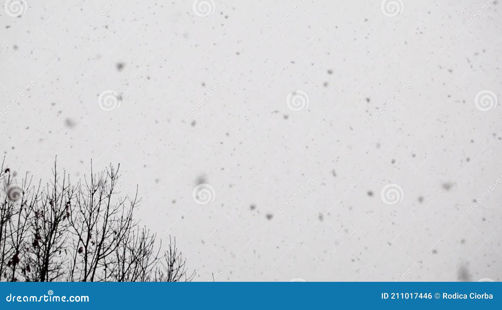 Natural Snow Falling Isolated on White Background Stock Footage - Video ...