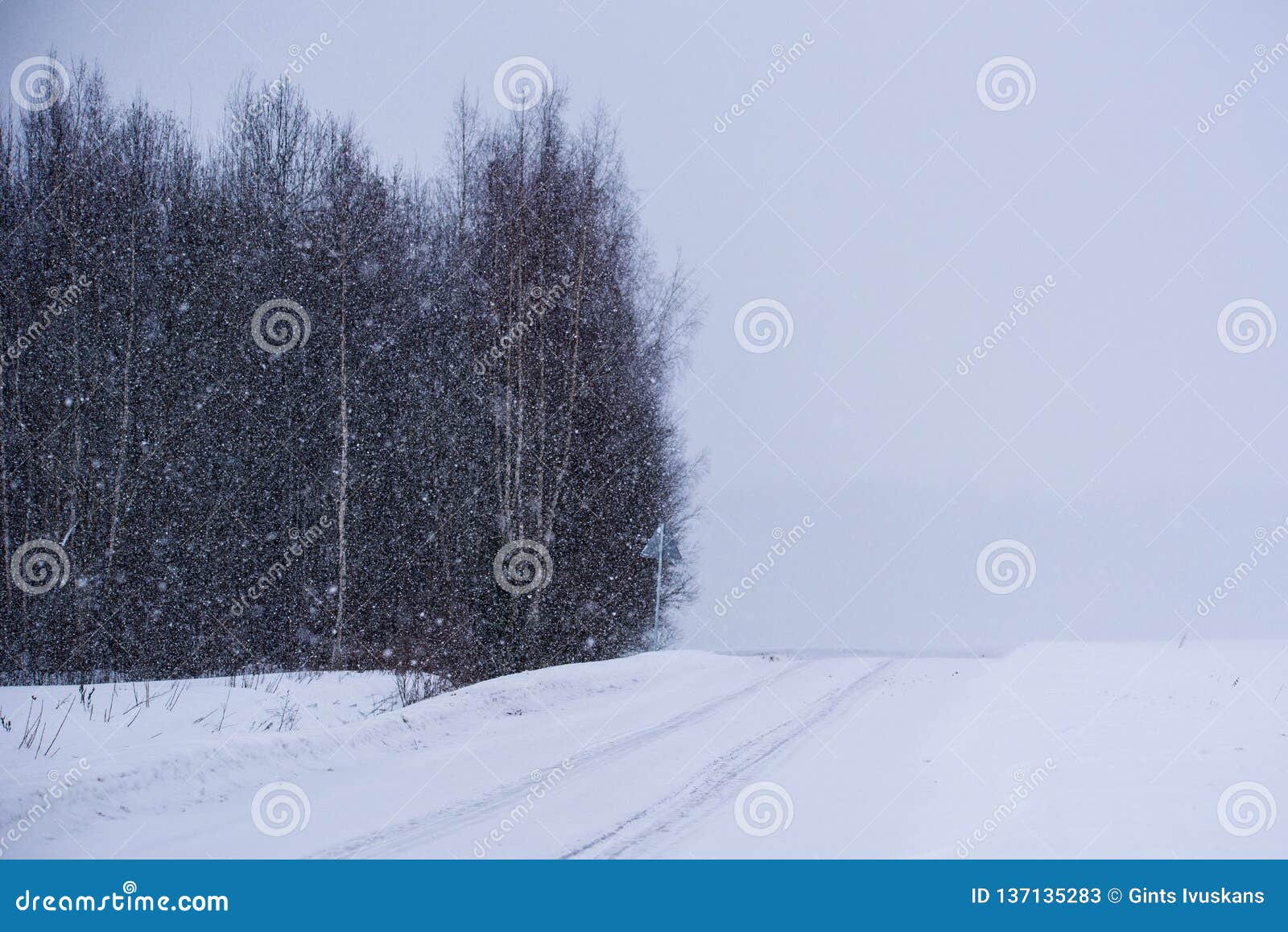 Heavy Snowfall Near Forest at Countryside. Stock Image - Image of ...