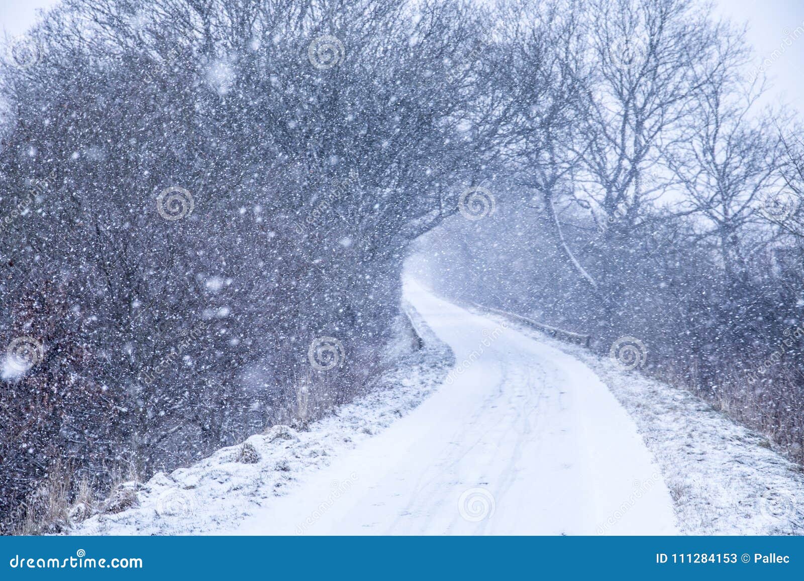 Heavy Snowfall at a Road with Trees in the Background Stock Image ...