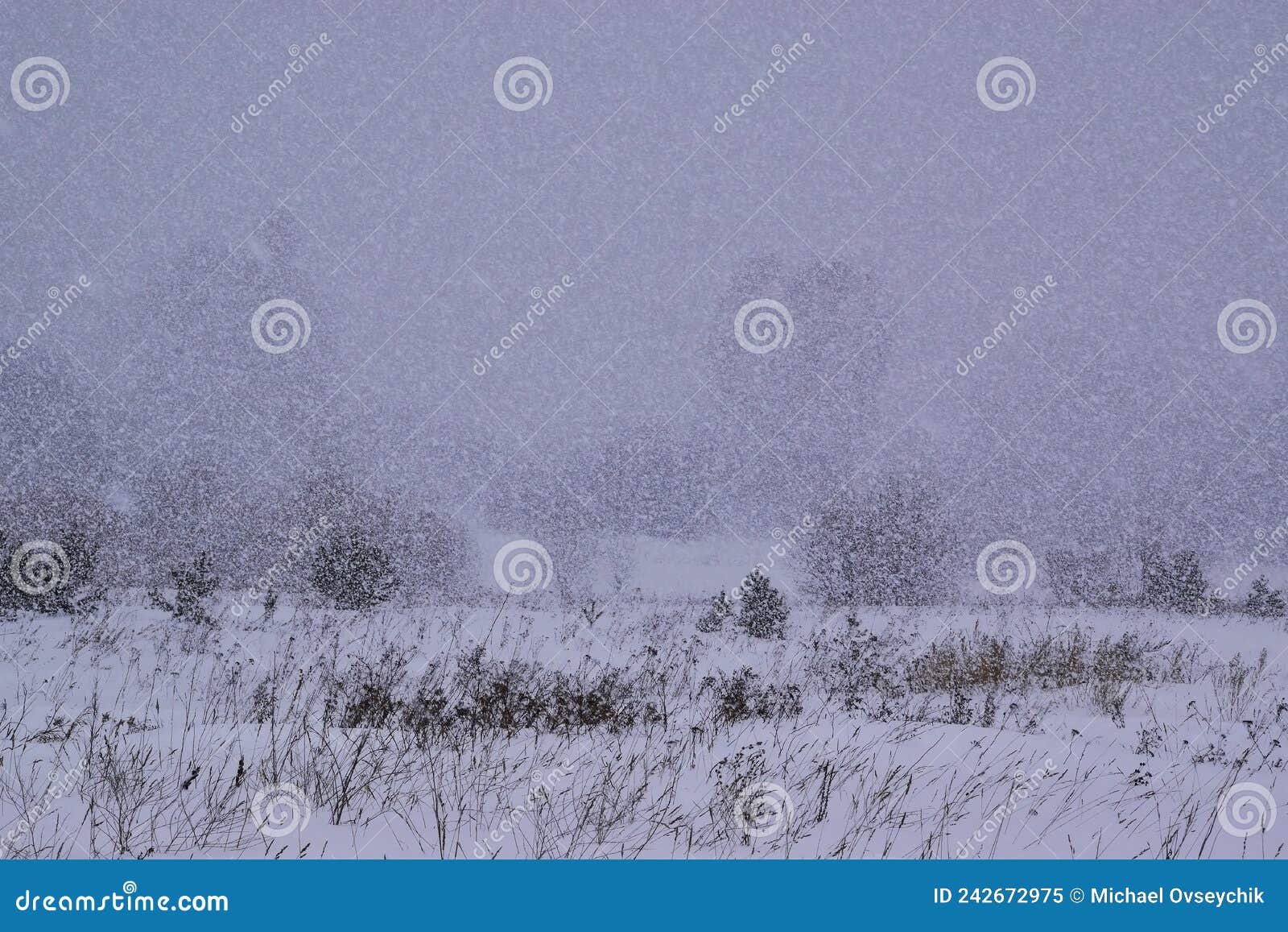 Heavy Snowfall in Winter Forest Stock Image - Image of flake, project ...