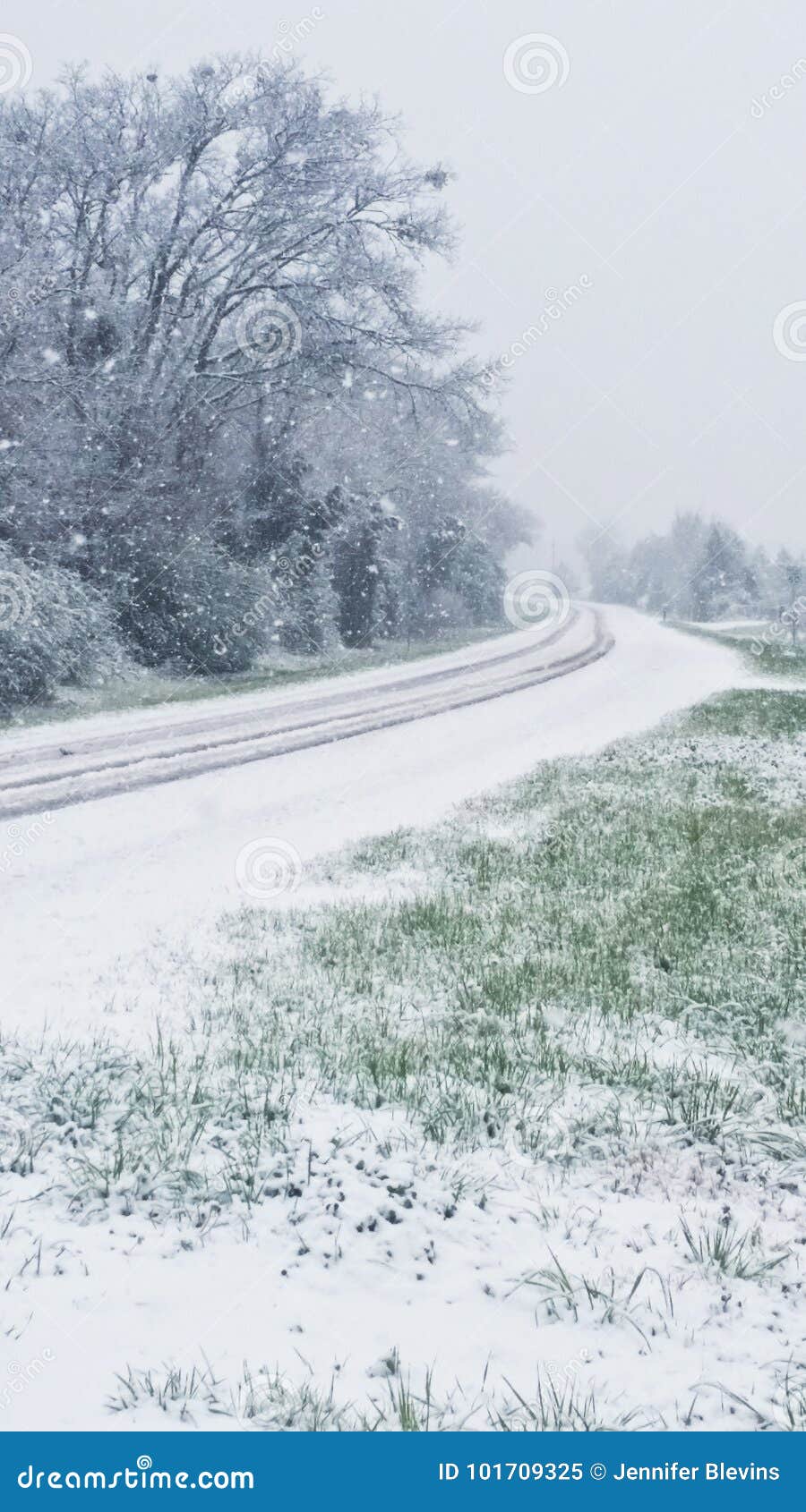 Heavy Snowing stock image. Image of country, cold, forest - 101709325