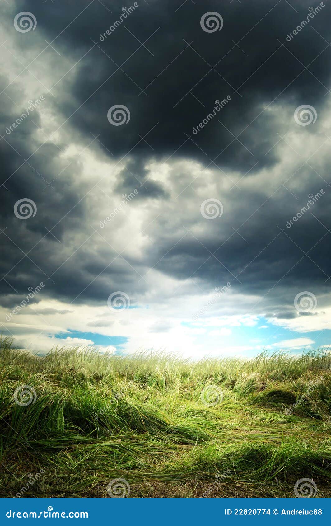 Heavy Storm Clouds Over a Green Grass Field Stock Photo - Image of ...