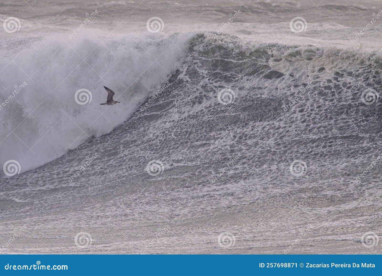 Heavy storm sea wave stock image. Image of beach, flow - 257698871