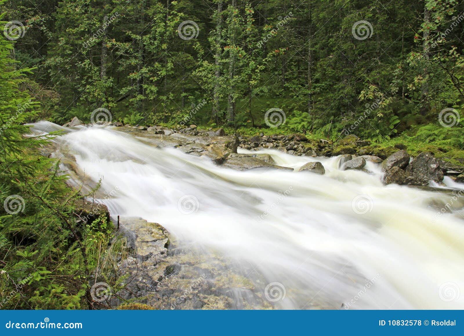 Heavy stream stock photo. Image of waterfall, granvin - 10832578