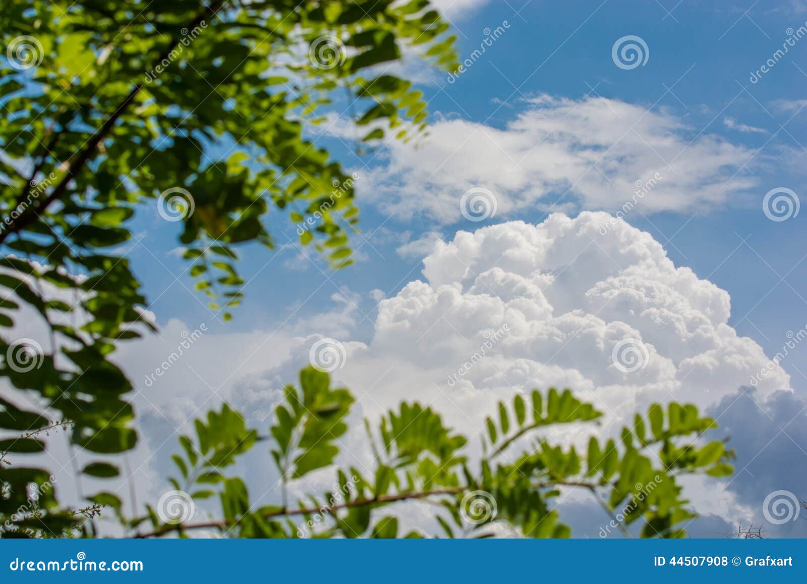Heavy Thunderclouds Over Forest Stock Photo - Image of environmental ...