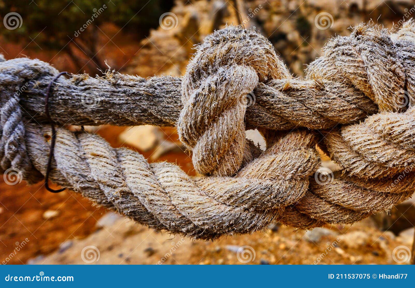 Heavy Tow Knot Thick Ropes Tied Together Stock Image - Image of lasso ...