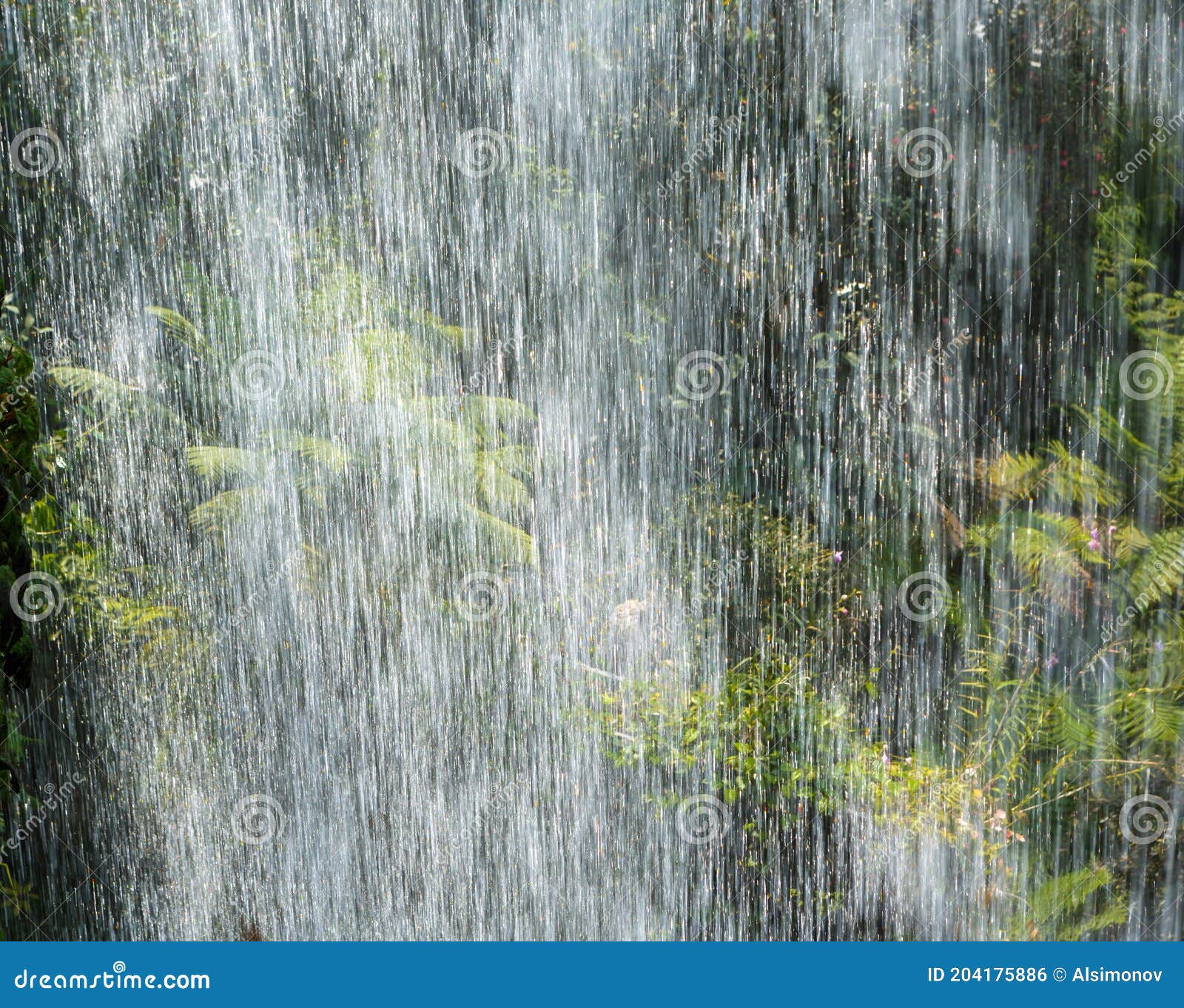 Heavy Tropical Rain, Rainstorm in the Jungle Close-up Stock Photo ...
