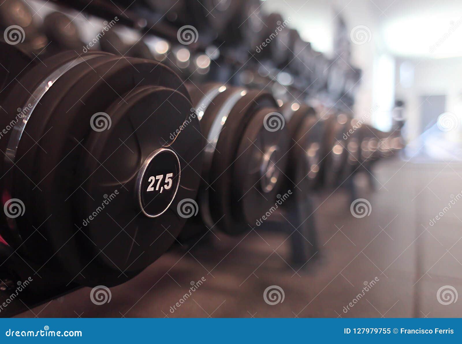 Heavy Weights at Bright and Nice Gym Stock Image - Image of strenght ...