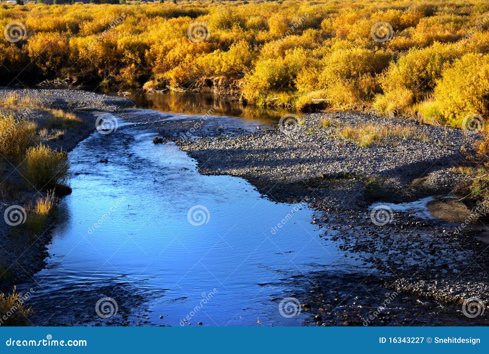 Hebgen lake stock image. Image of foliage, seasonal, forest - 16343227