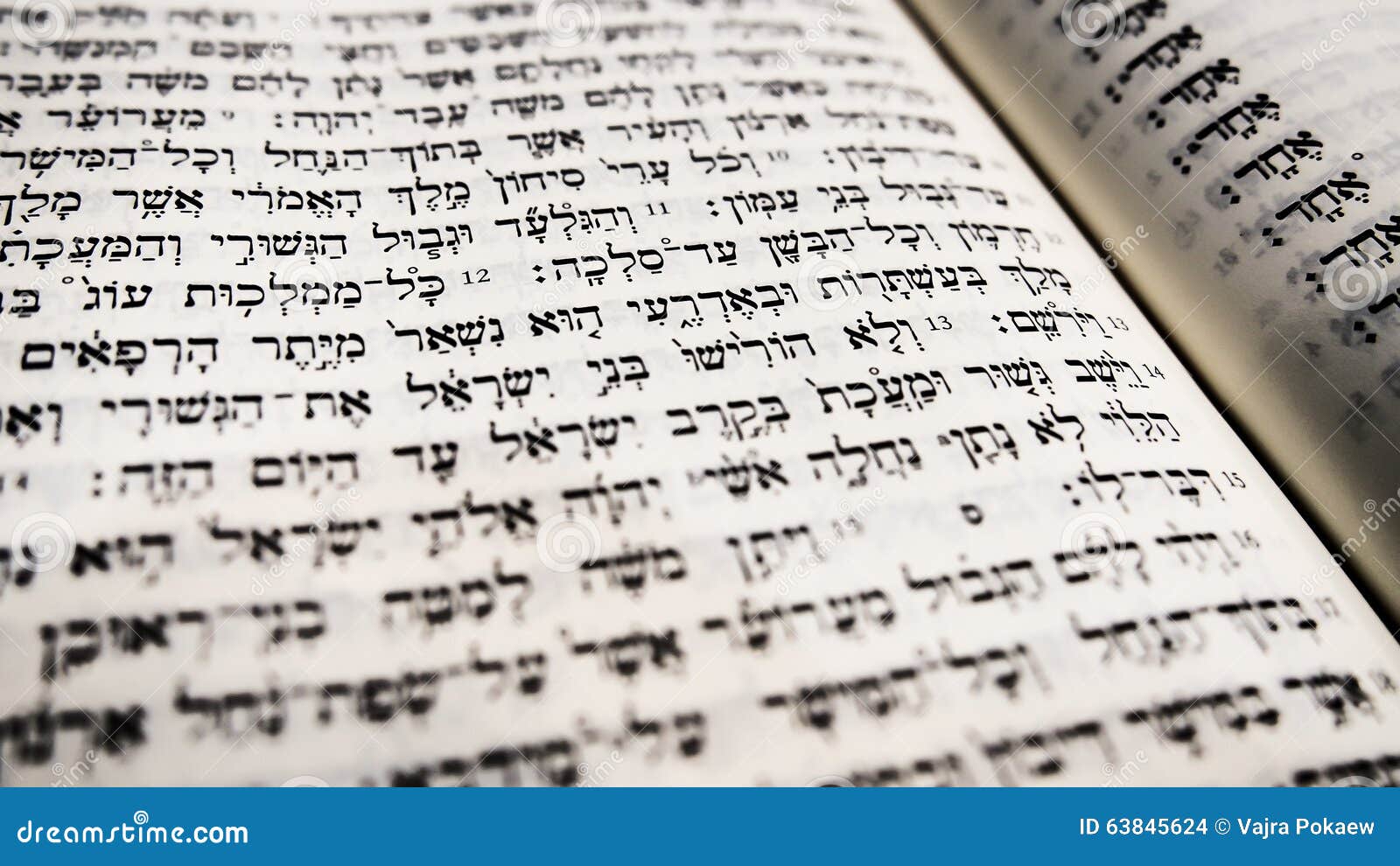 Download biblical hebrew font - zekum