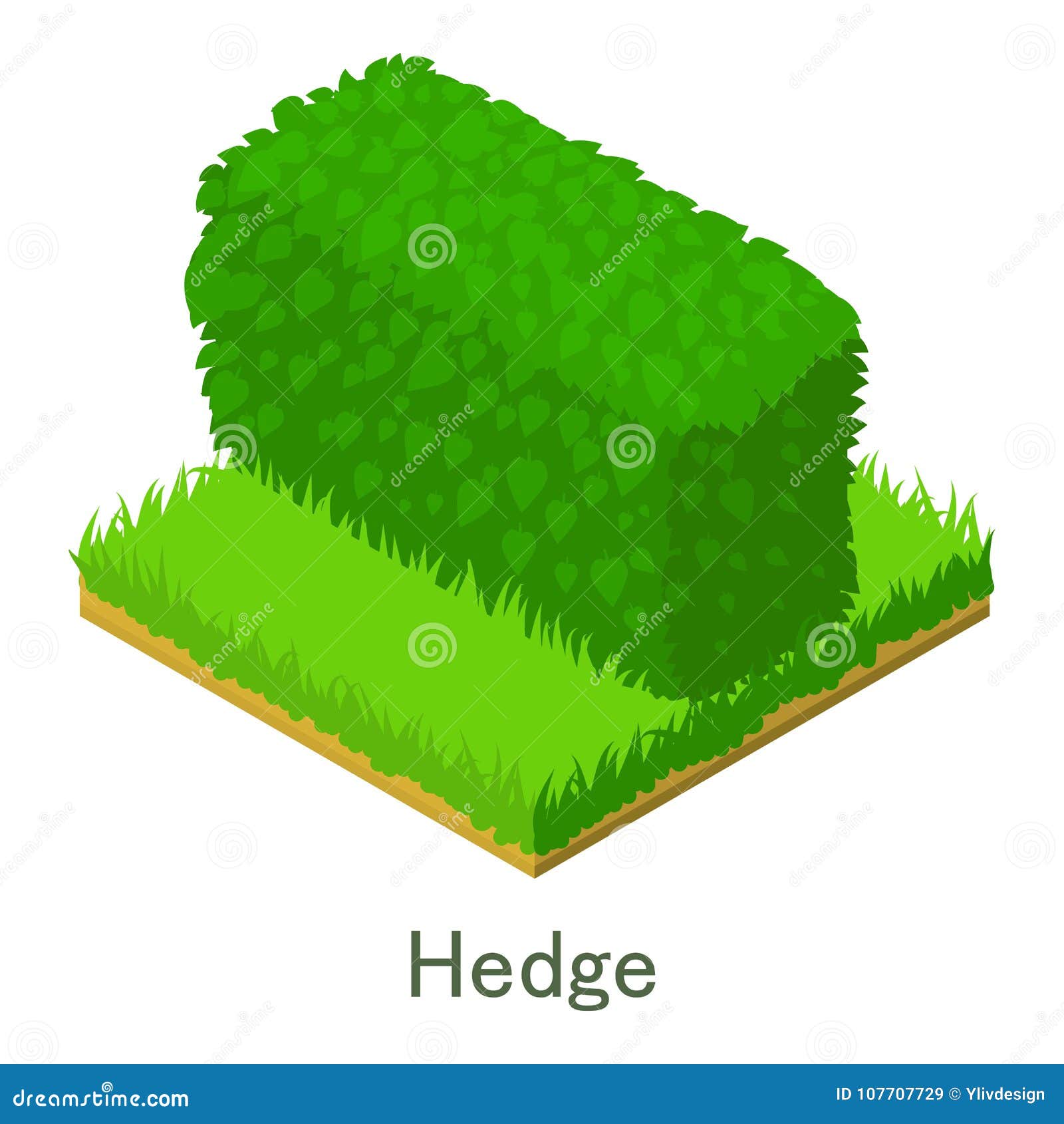 Hedge Icon, Isometric Style. Stock Vector - Illustration of forest ...