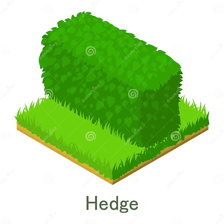 Hedge Icon, Isometric Style. Stock Vector - Illustration of forest ...