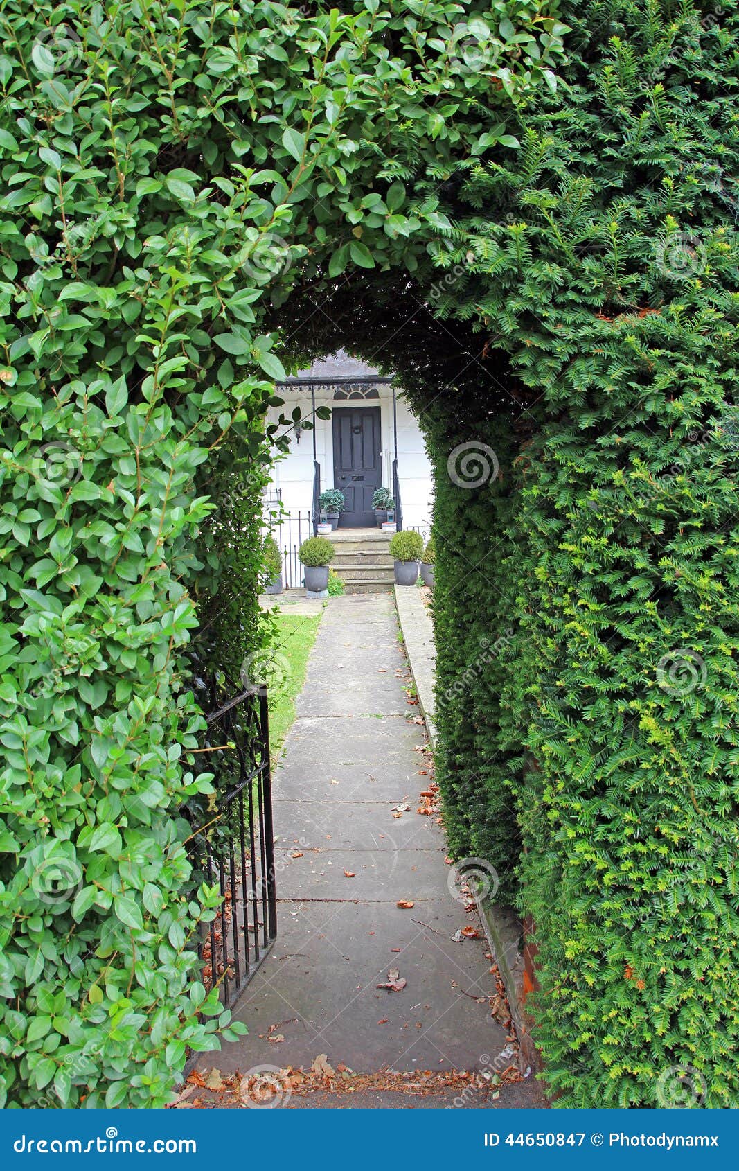 Hedge Keyhole Arch Pathway Gate Stock Image - Image of house, garden ... Hedge Keyhole Arch Pathway Gate Stock Image - Image of house, garden ...
