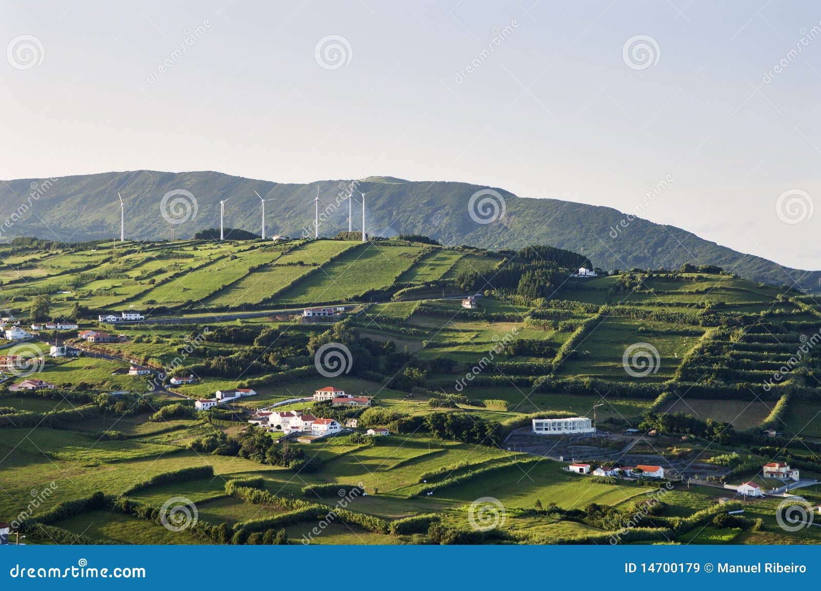 Hedge Landscape of Faial, Azores Stock Image - Image of slope, hedged ...