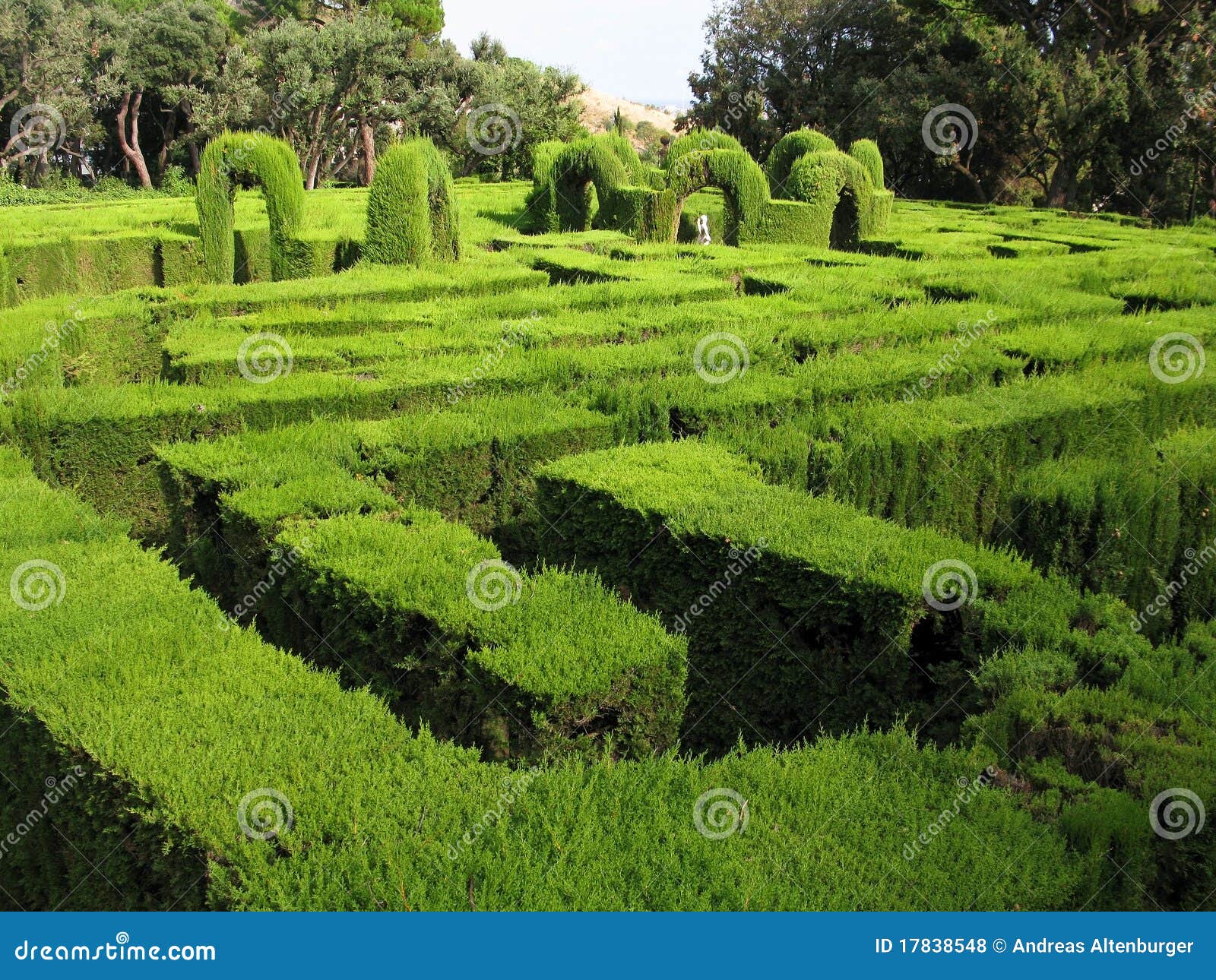 Hedge maze stock photo. Image of solve, growing, leaves - 17838548