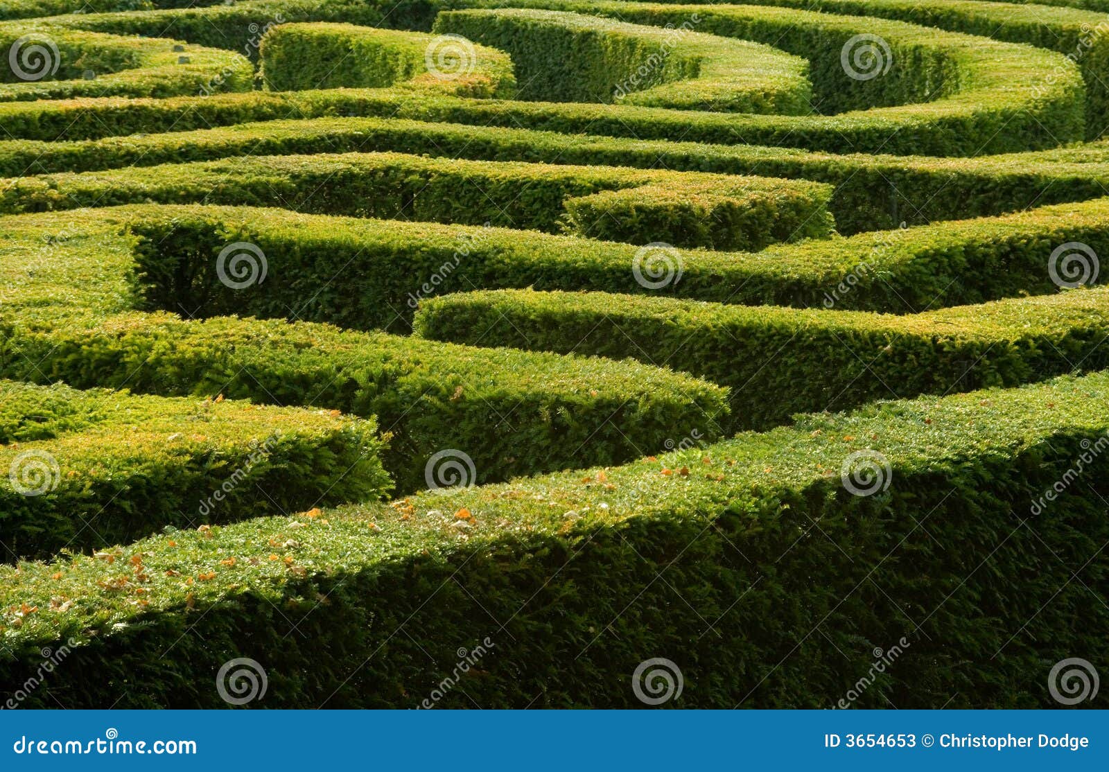 Hedge maze stock image. Image of turn, maze, pathway, bearing - 3654653