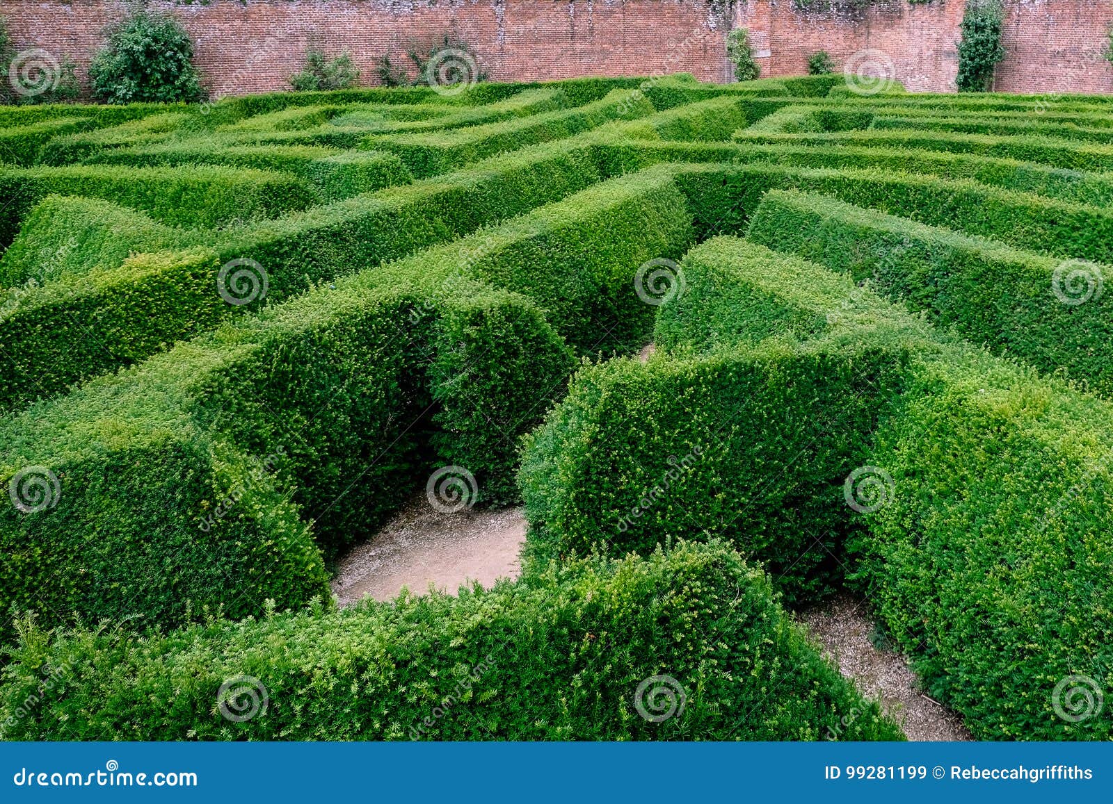 A hedge maze stock image. Image of garden, design, shape - 99281199