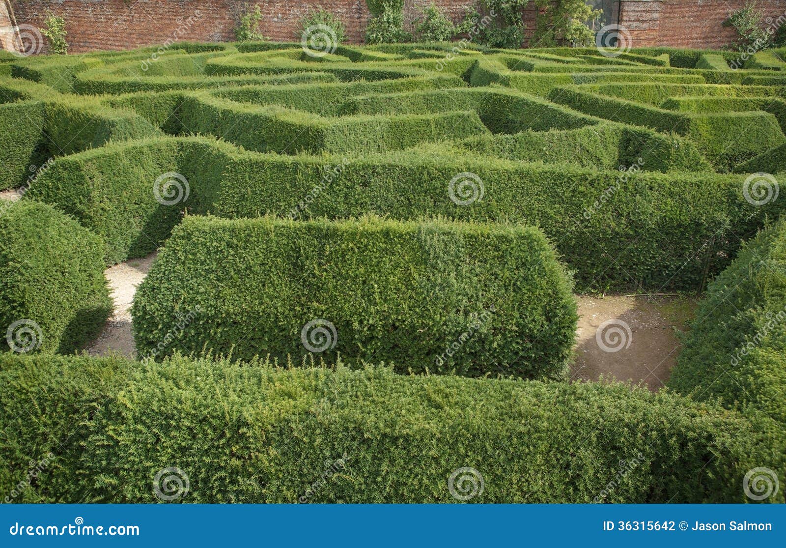 Hedge maze stock photo. Image of outdoors, outside, puzzle - 36315642