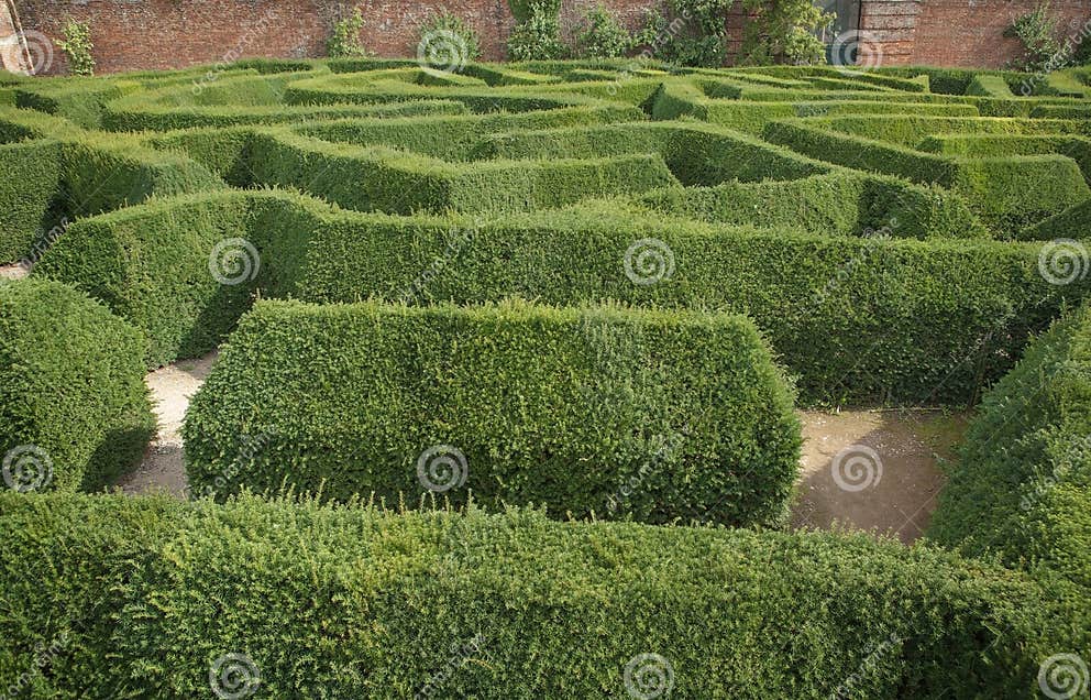 Hedge maze stock photo. Image of outdoors, outside, puzzle - 36315642