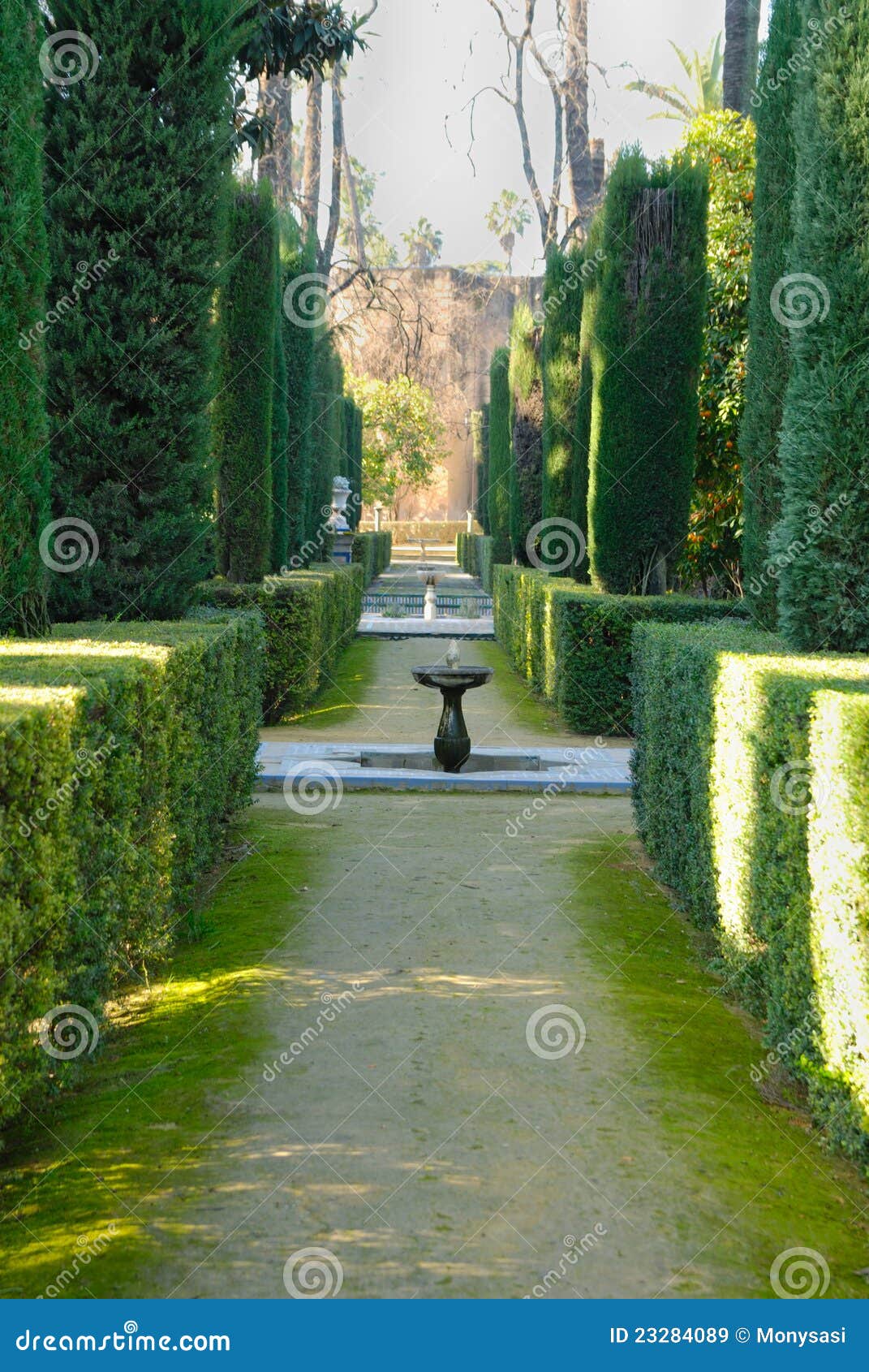 Hedge path stock image. Image of relaxation, cypress - 23284089
