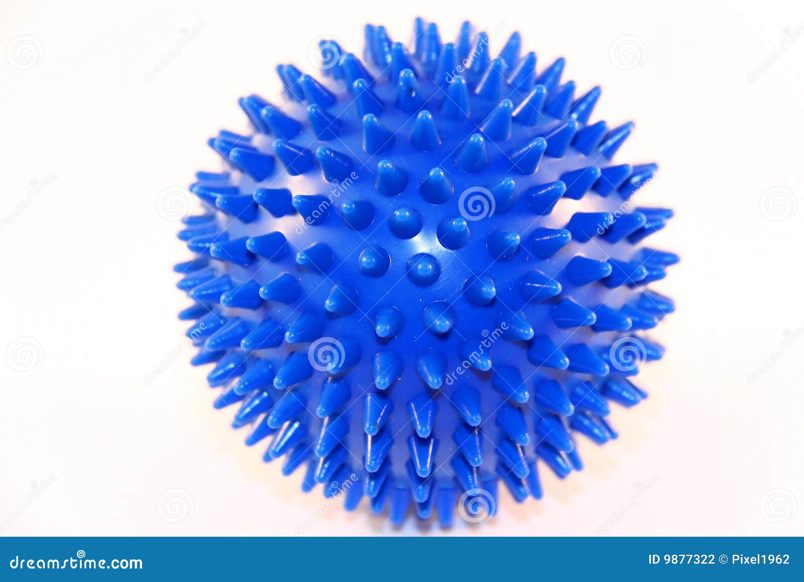 Hedgehog ball stock photo. Image of hedgehog, relaxation - 9877322