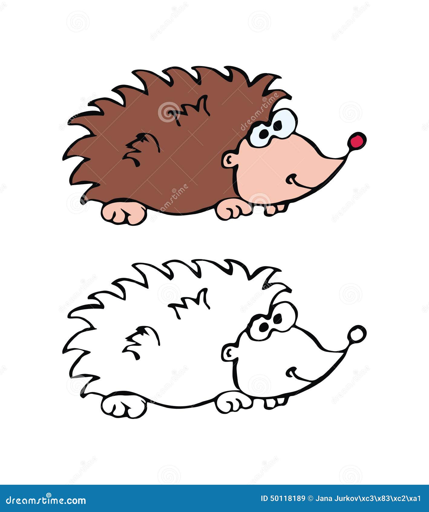 Hedgehog Cartoon Drawing