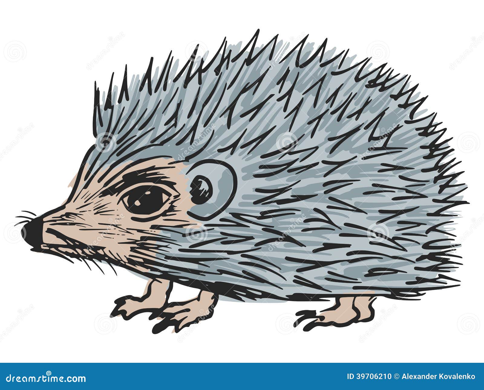 Hedgehog stock vector. Illustration of animal, hand, small - 39706210