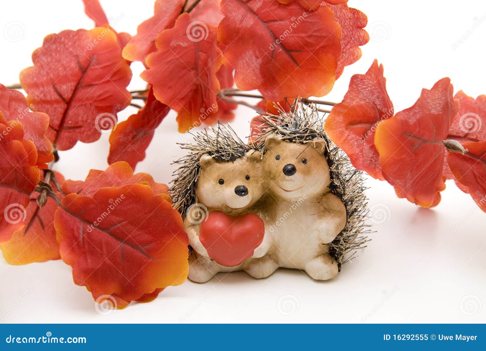 Hedgehog pair with heart stock image. Image of hedgehog - 16292555