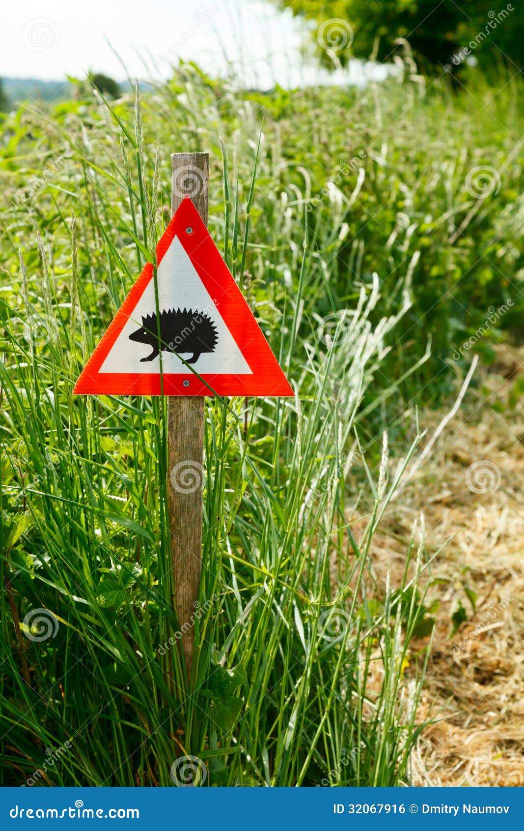 Hedgehog sign stock photo. Image of roadside, road, warning - 32067916
