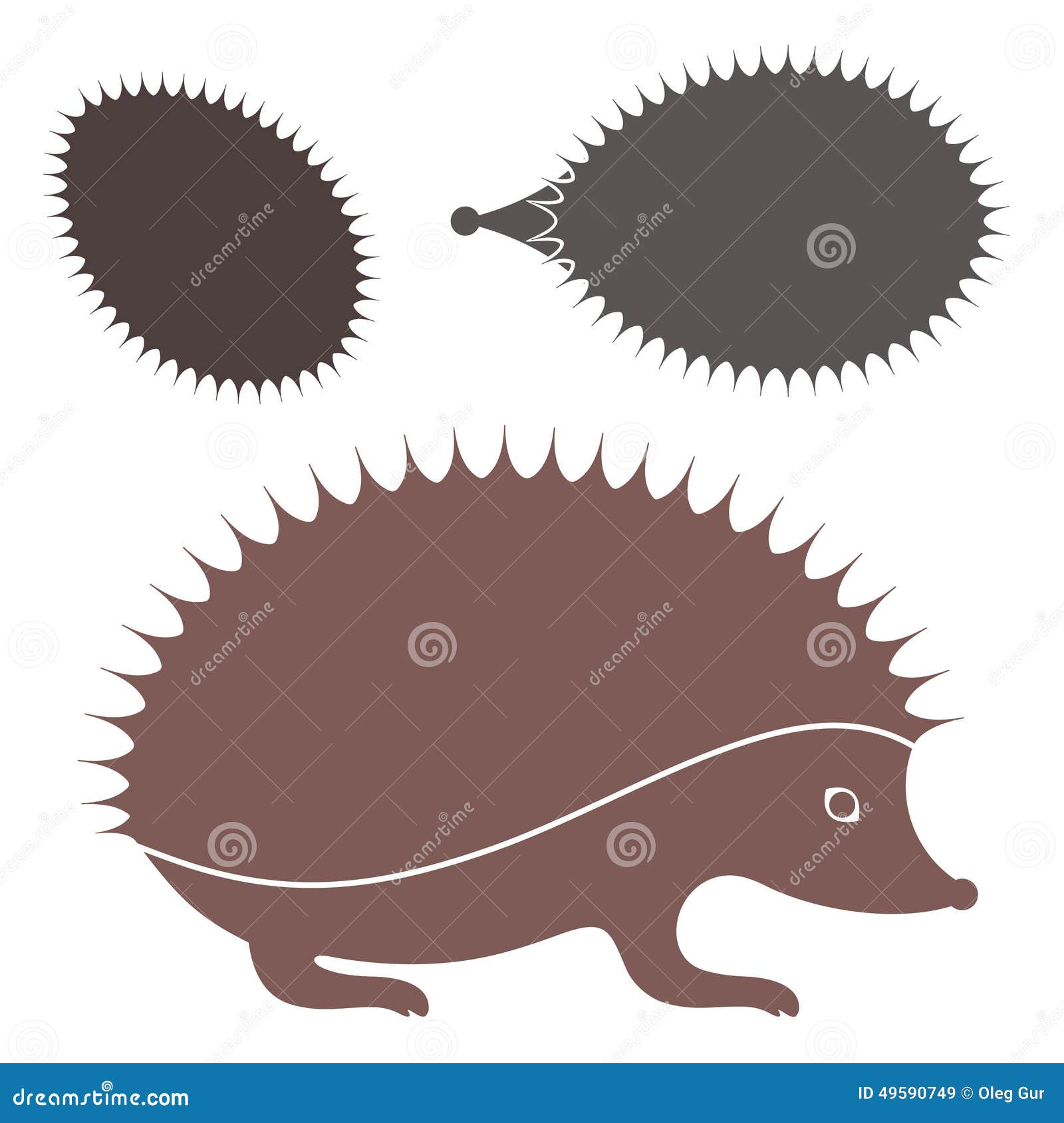 Hedgehog stock vector. Illustration of isolated, forest - 49590749