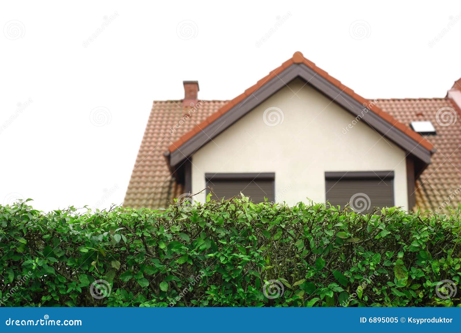 Hedgerow in Front Od Modern House Stock Image - Image of green, fence ...