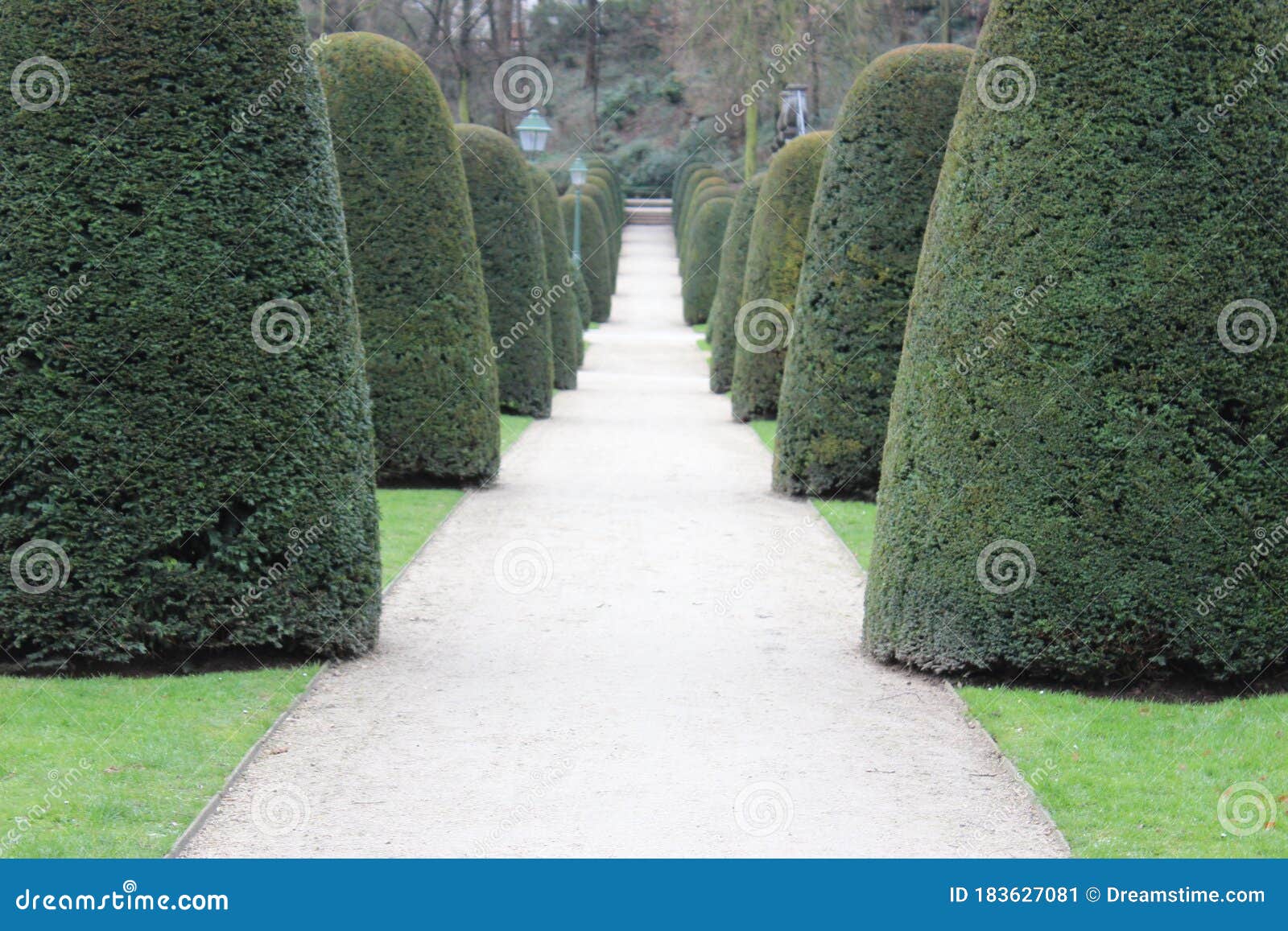 Hedges in a garden stock image. Image of trail, shrubs - 183627081