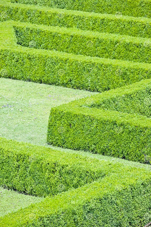 Hedges labyrinth stock photo. Image of decision, european - 26079002