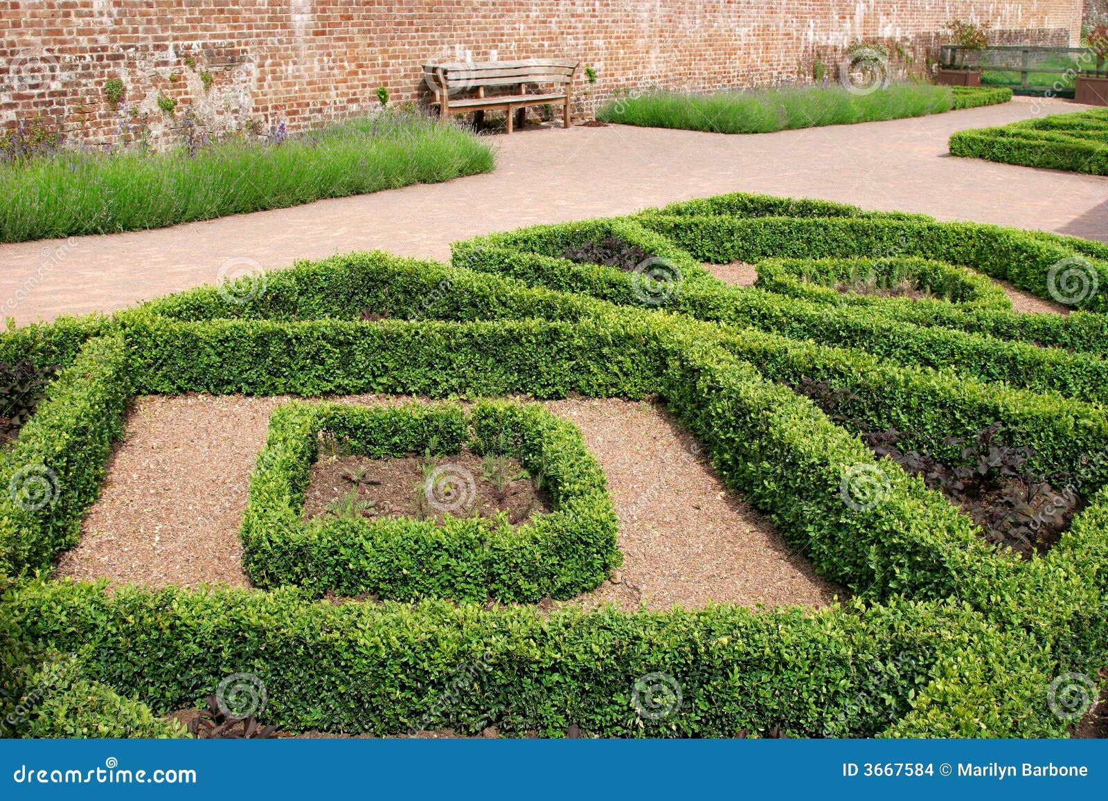 Hedging Topiary stock photo. Image of lined, flora, pattern - 3667584