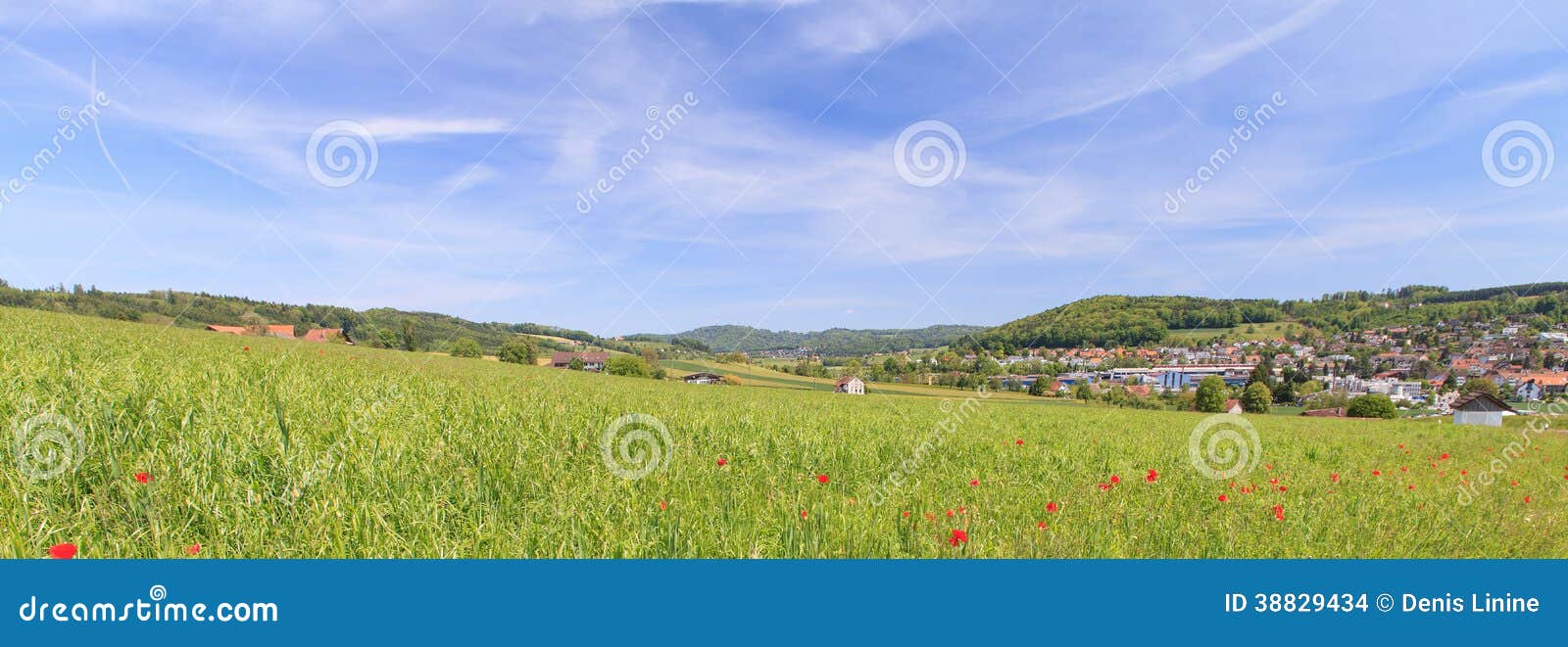 Hedingen, Switzerland in Spring Stock Photo - Image of green, hill ...