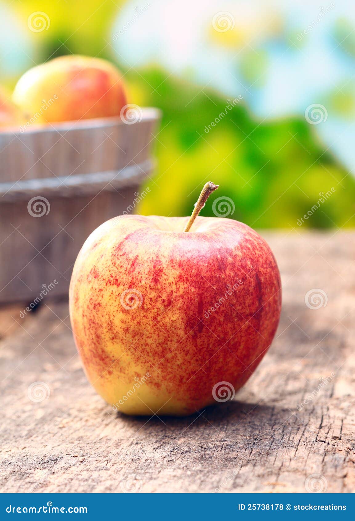 Heerlijke Rode En Gele Appel Stock Foto - Image of huis, organisch ...