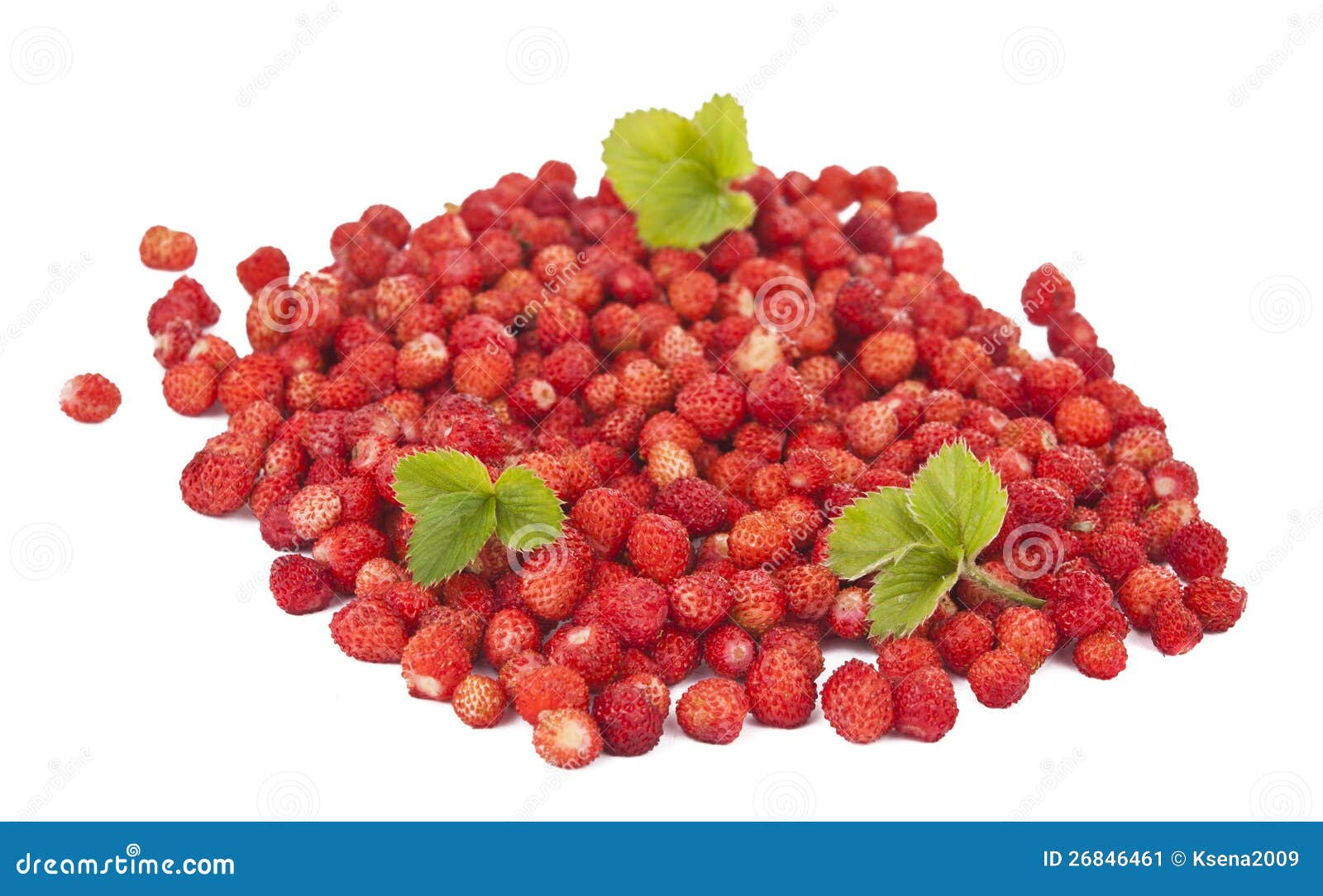 Heerlijke wilde aardbeien stock afbeelding. Image of verfrissing - 26846461