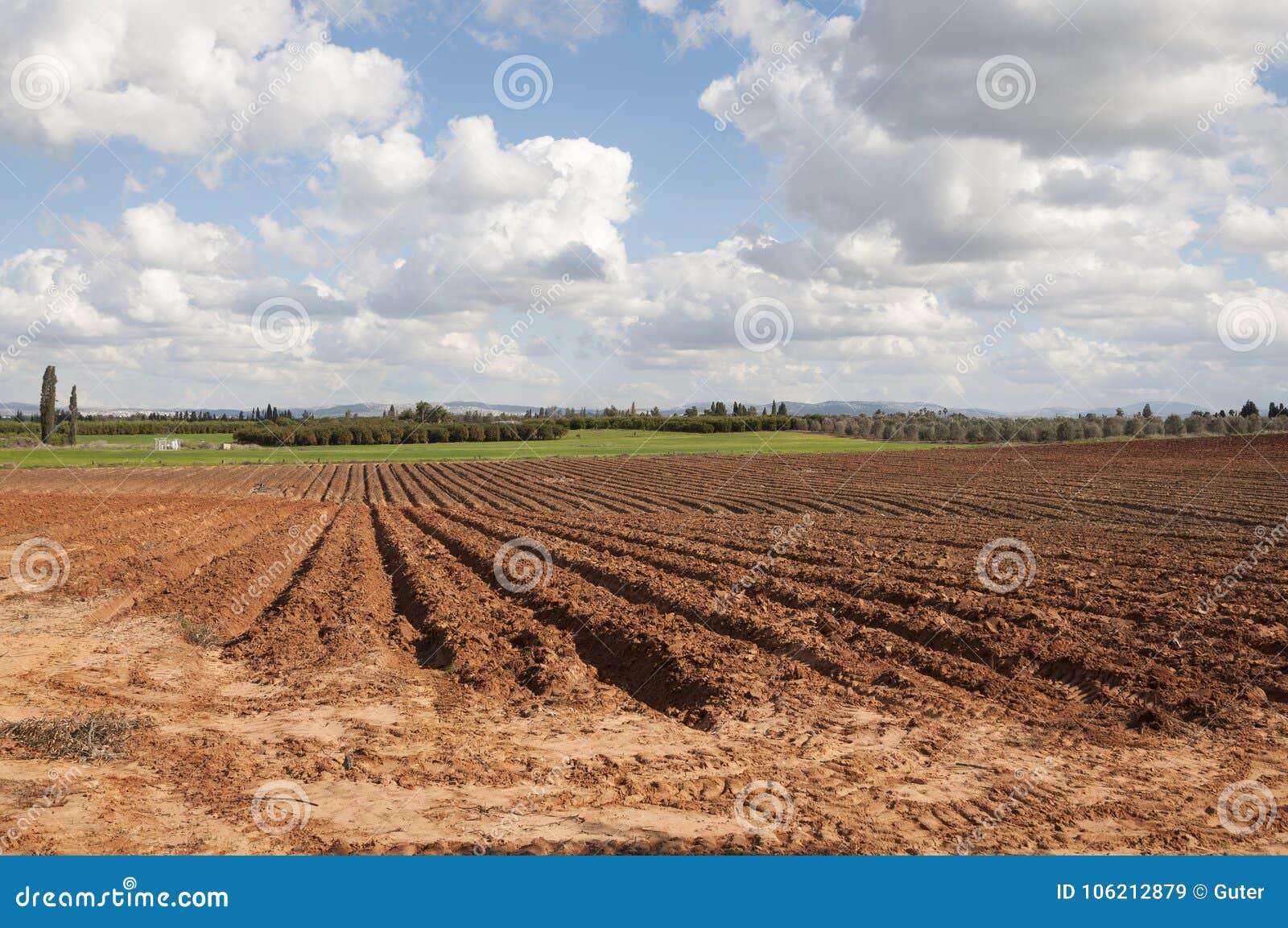 Hefer Valley, Emek Hefer Typical Agricultural View Editorial Stock ...