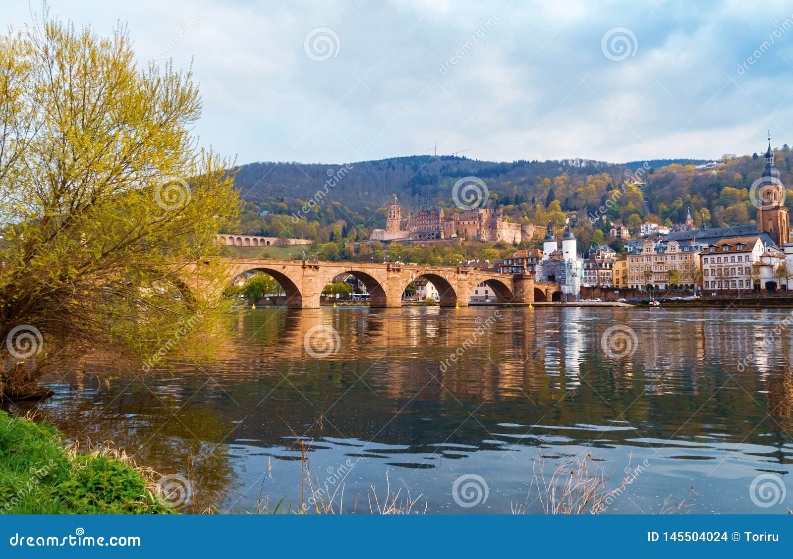 View on Heidelberg at Spring, Germany Editorial Stock Image - Image of ...
