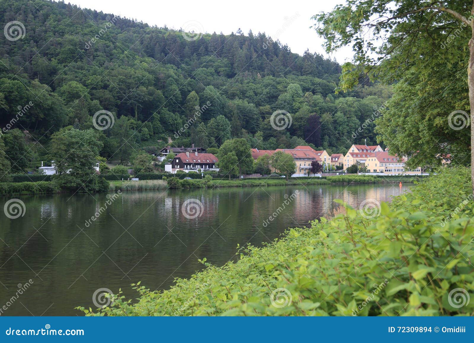 Heidelberg Germany Nekar River Stock Photo - Image of trees, heidelburg ...