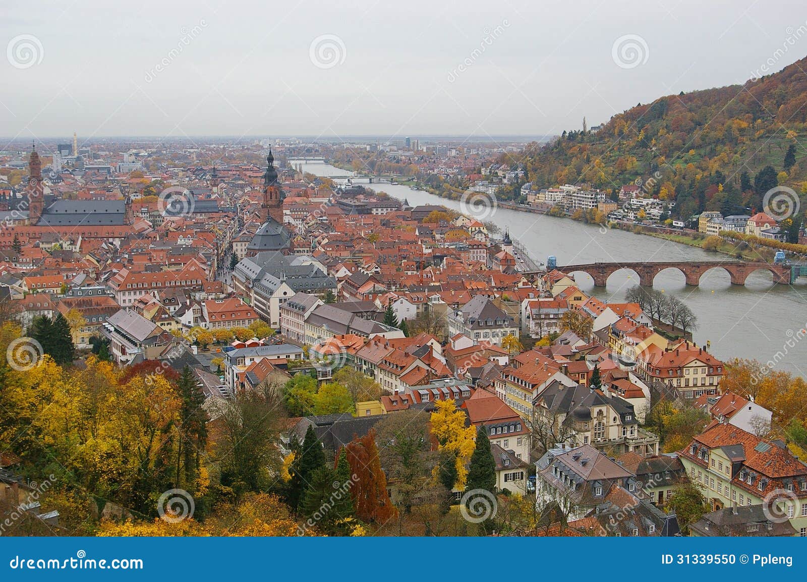 Heidelberg stock photo. Image of heidelberg, city, bridge - 31339550
