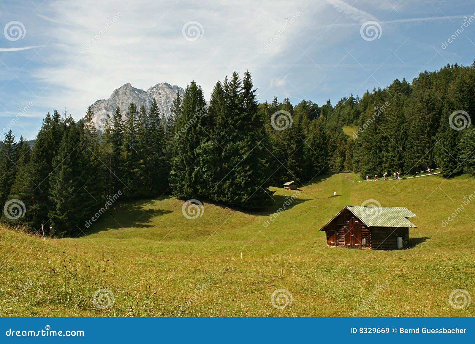 Heidi Country stock image. Image of alps, hike, tree, hiking - 8329669
