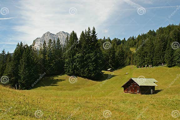 Heidi Country stock image. Image of alps, hike, tree, hiking - 8329669